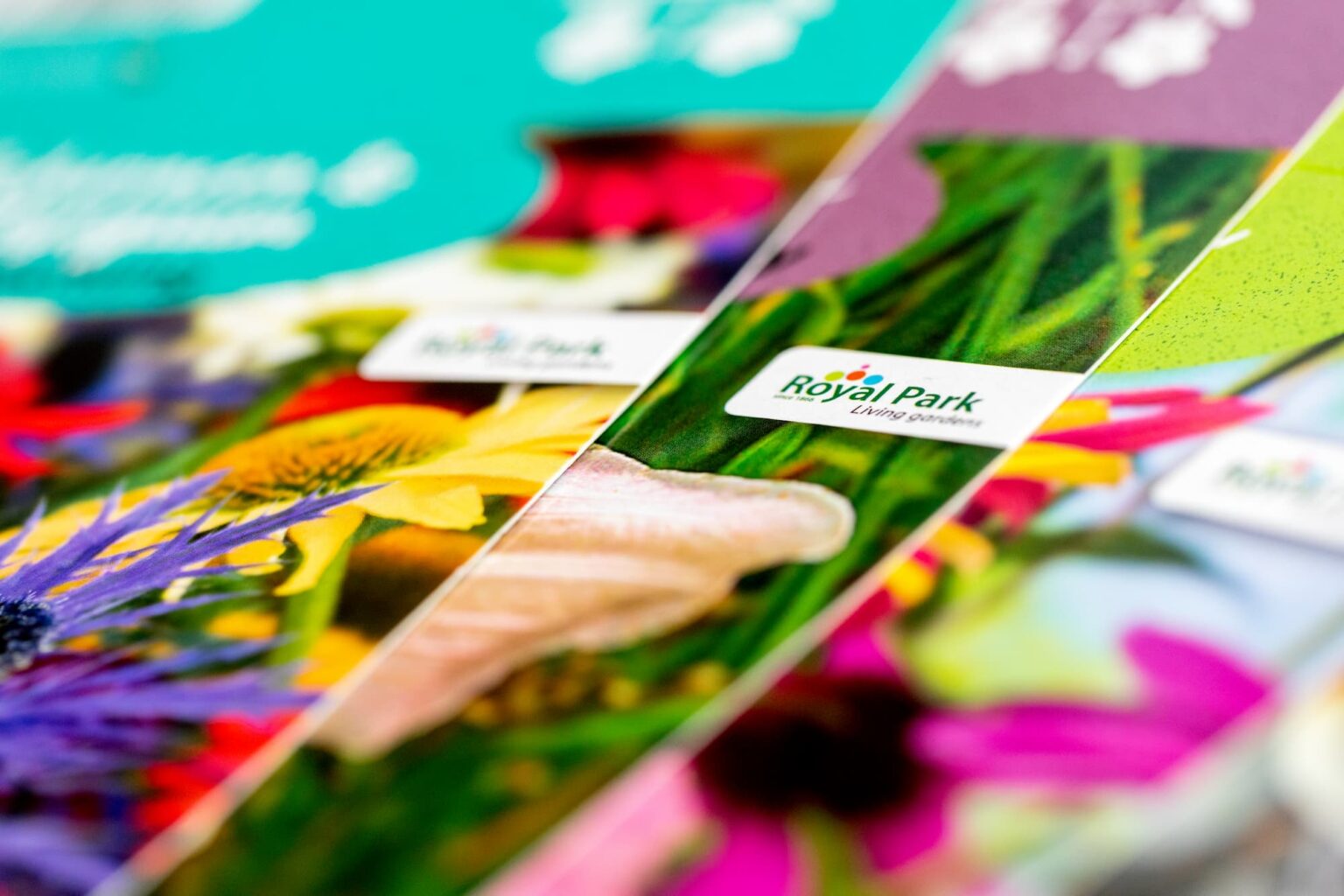 Unit in flower bulb packaging ⋆ Designstar