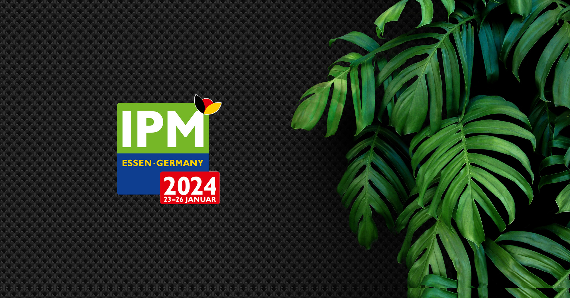 Designstar naar IPM Essen ⋆ Designstar